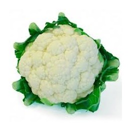 Cauliflower - Strong Oak Farm